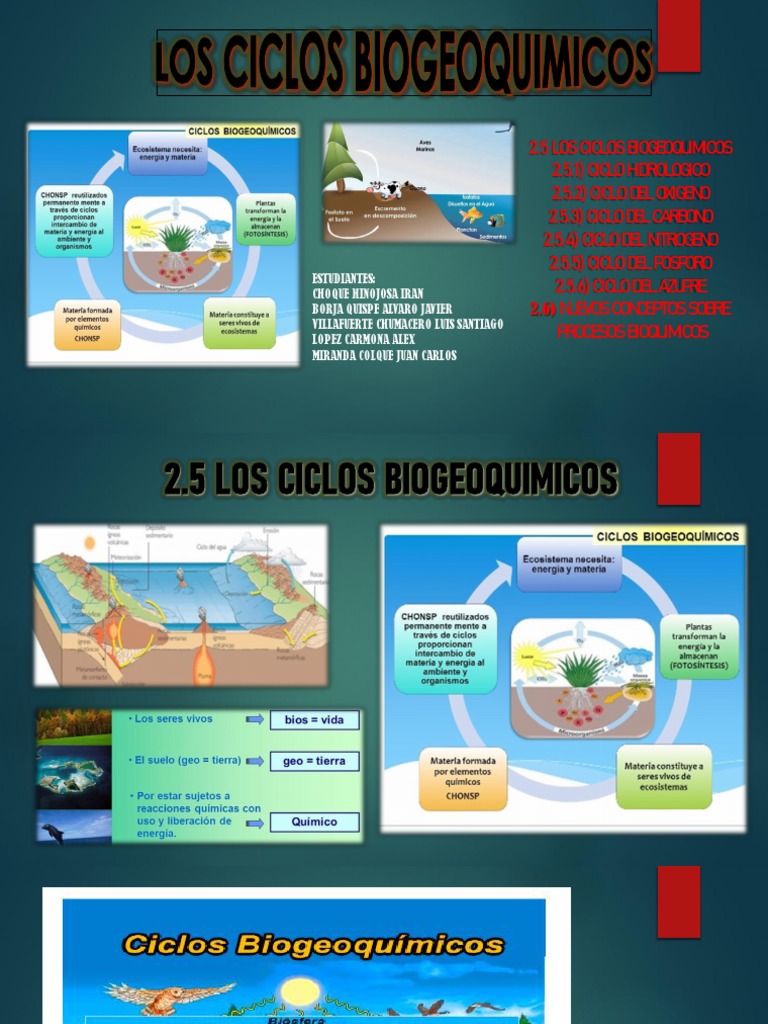 Los Ciclos Biogeoquimicos | PDF