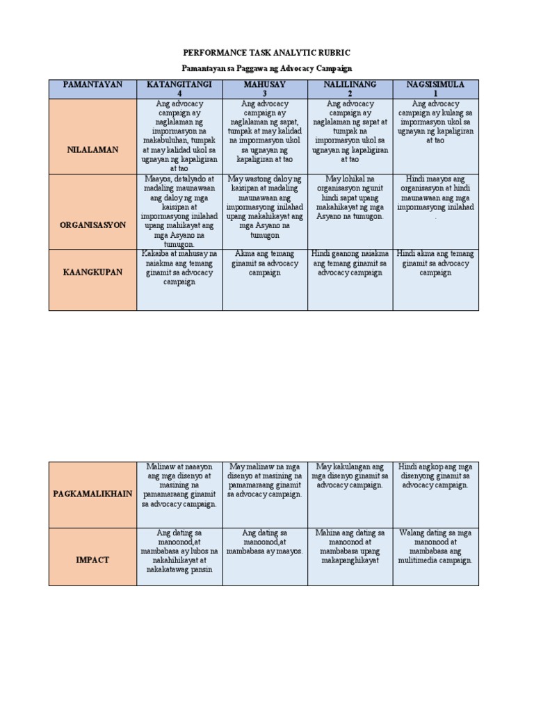 PERFORMANCE TASK ANALYTIC RUBRIC (Advocacy Campaign | PDF