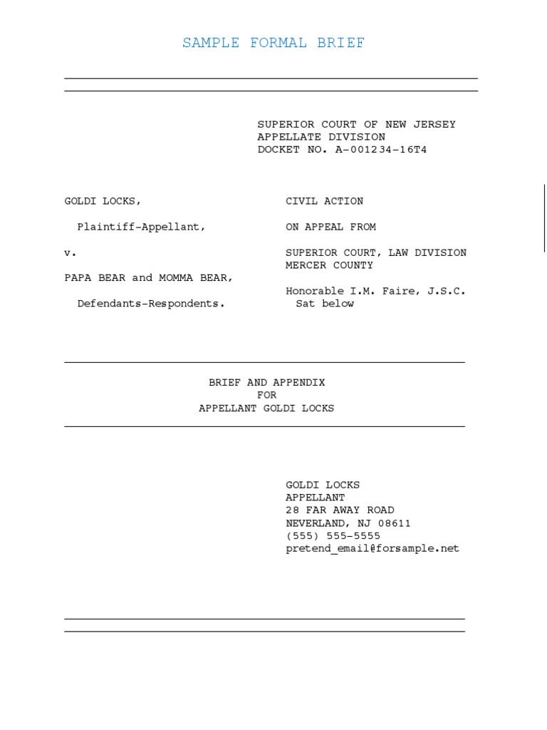 Sample Formal Brief | PDF | Summary Judgment | Negligence