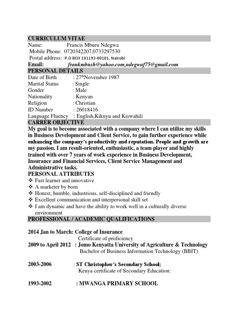 Curriculum Vitae | PDF | Kenya | Internet Access