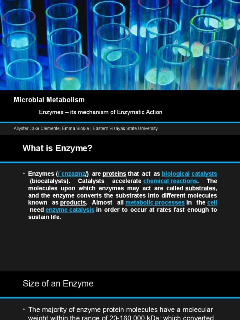 Microbial Metabolism - Enzymes | PDF | Enzyme | Catalysis