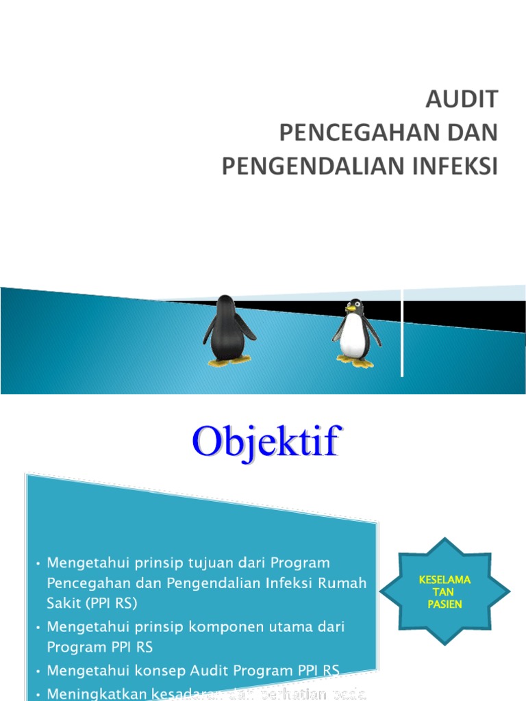 Audit Program PPI di Rumah Sakit | PDF
