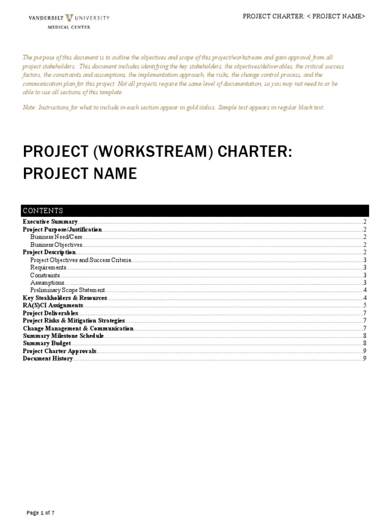 IT Security Project Charter Template | PDF | Security | Computer Security