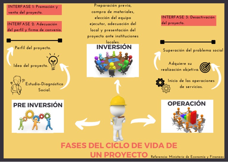 Organizador Ciclo de Vida | PDF