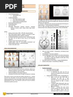 Asia Scale | PDF | Anatomical Terms Of Motion | Spinal Cord Injury