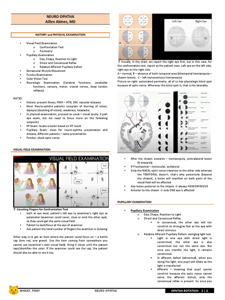 Neuro Ophtha | PDF | Light | Human Eye