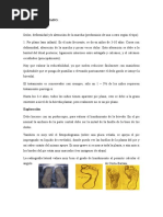 Linea de Feiss, Linea de Helbing | PDF | Pie | Anatomía humana