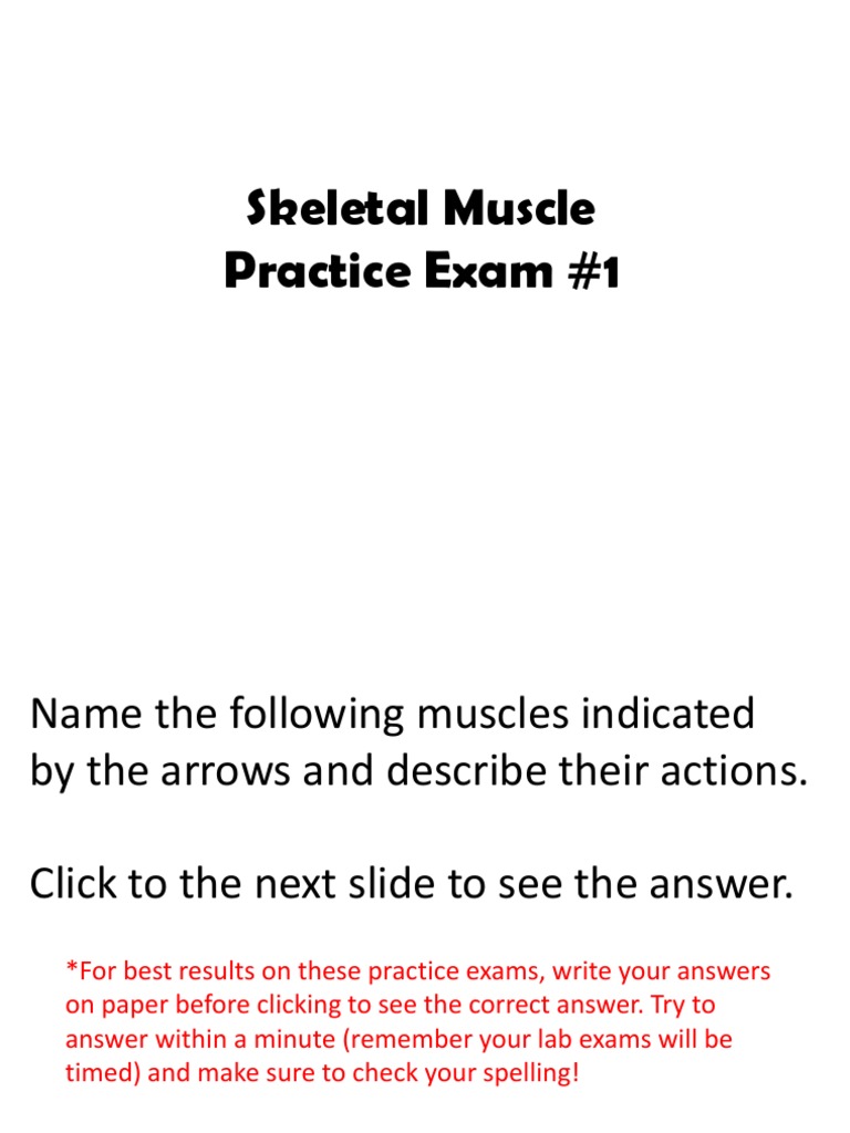 Skeletal Muscle Practice Exam #1 | Download Free PDF | Anatomical Terms ...