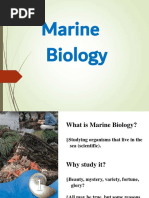 UPOU Academic Calendar 2024-25 | PDF | Academic Term | Schools