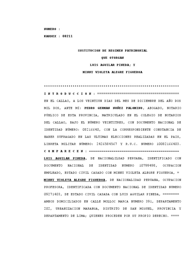 Modelo - Escritura Publica Liquidacion Sociedad de Gananciales | PDF | Propiedad | Derecho privado