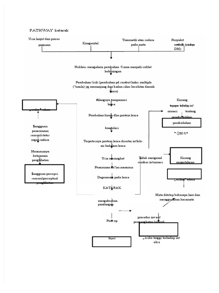 PDF Pathway Katarak | PDF
