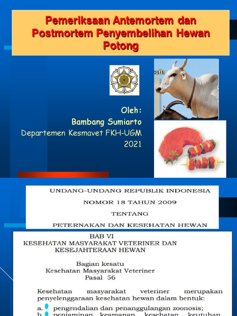 Antemorter Dan Postmortem September 2021 | PDF