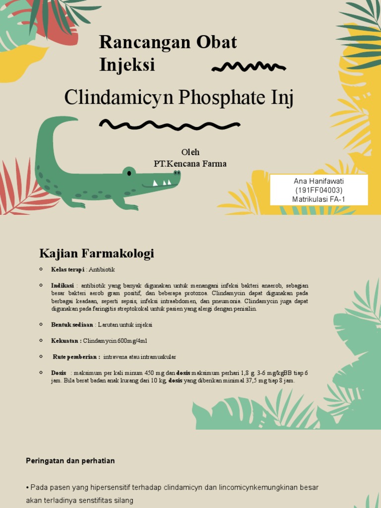 (Clindamicyn Phosphate Inj) - Ana Hanifawati - 191FF04003 | PDF ...