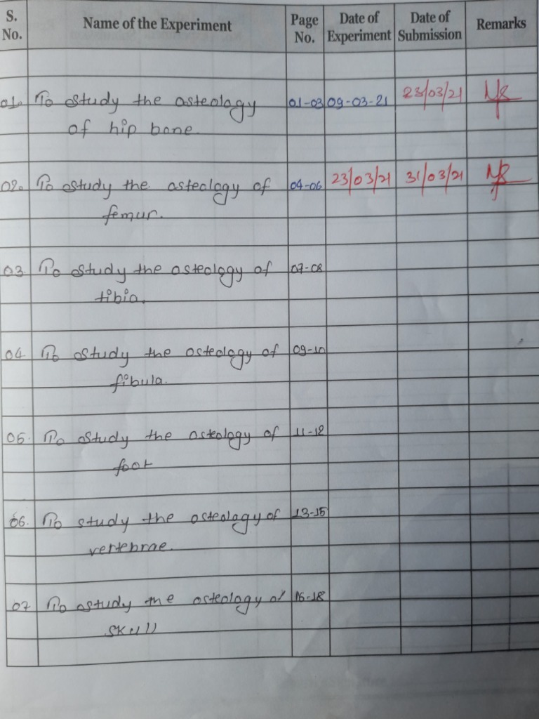 Anatomy Practical File | PDF