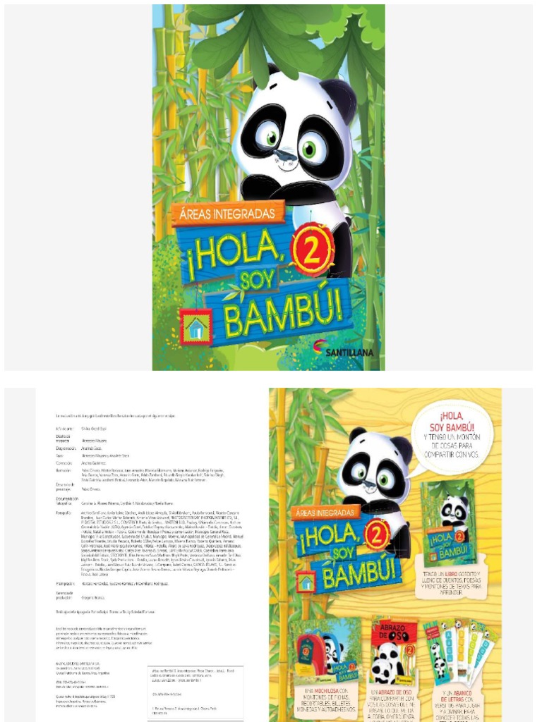 Bambu 2 | PDF