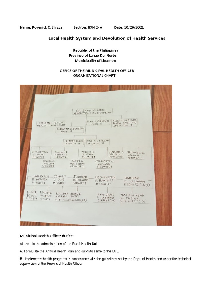 Local Health System and Devolution of Health Services | PDF | Nursing ...