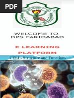 Form 1 Combined Science Notes (A) | PDF | Flowers | Pollination