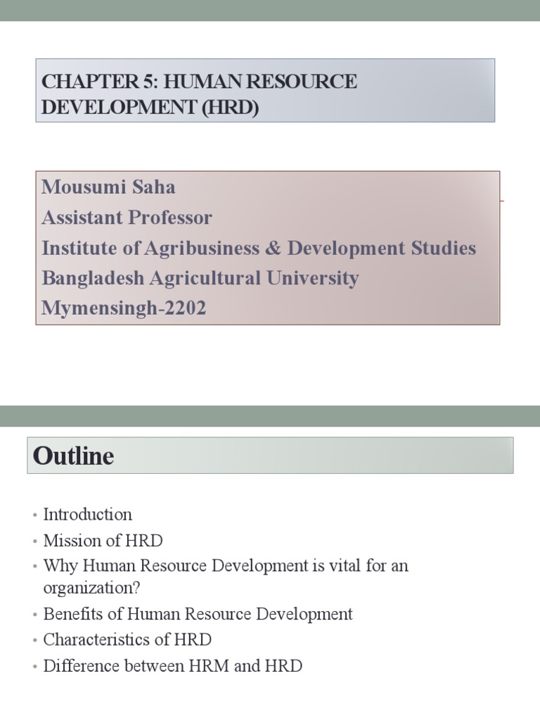 Chapter 5 HRD | PDF | Human Development Index | Human Resources