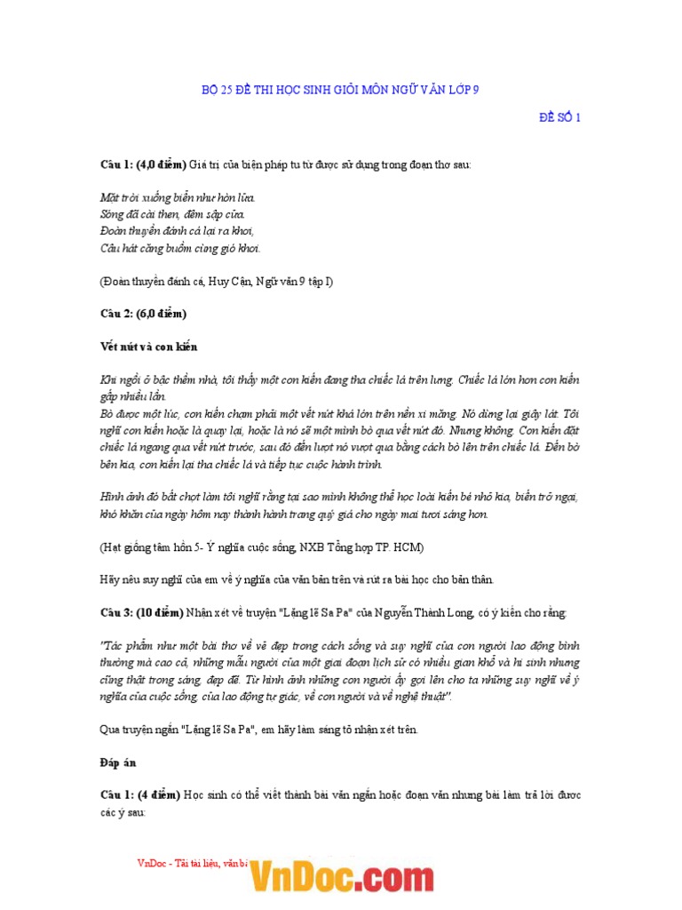 Bo 25 de Thi HSG Mon Ngu Van Lop 9 | PDF