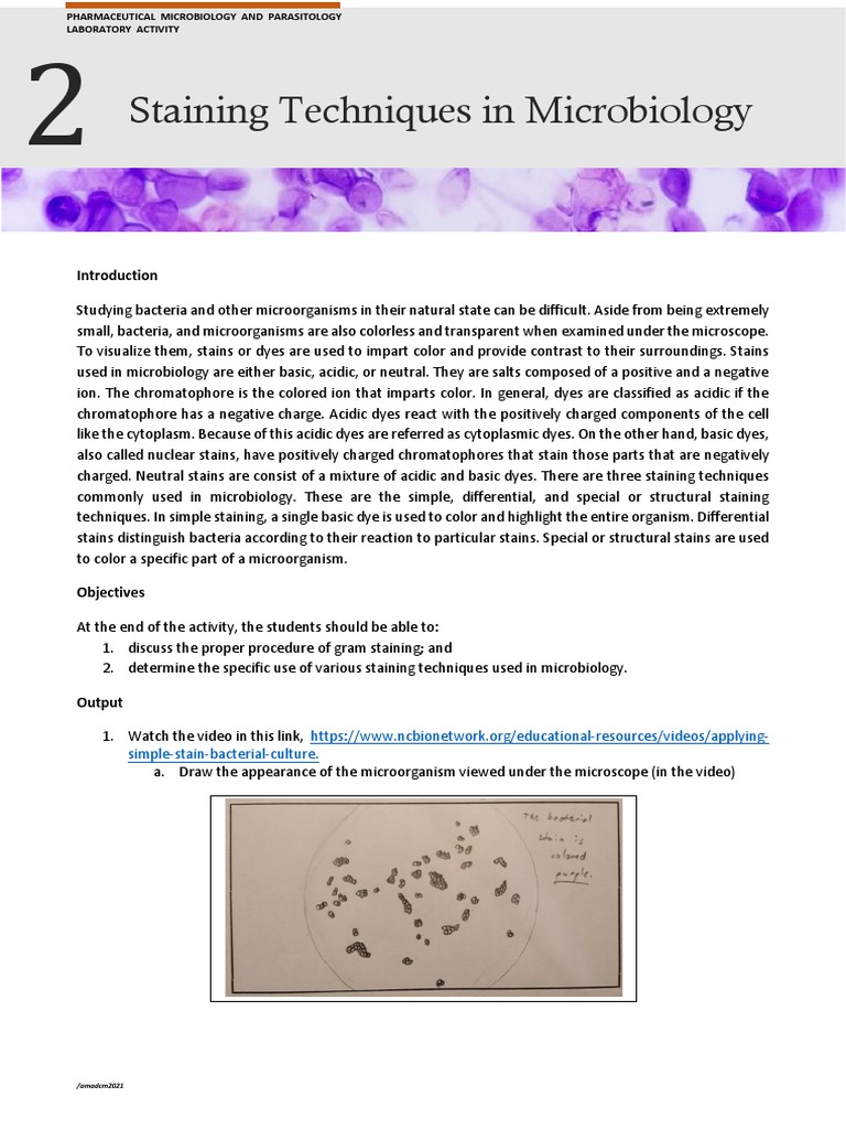 Staining Techniques in Microbiology: Simple-Stain-Bacterial-Culture ...