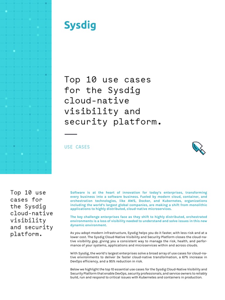 Top 10 Use Cases For The Sysdig Cloud-Native Visibility and Security ...