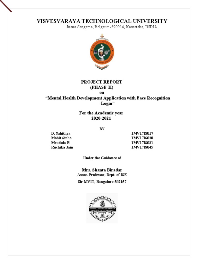 Final Project Report | PDF | Software Testing | Unit Testing