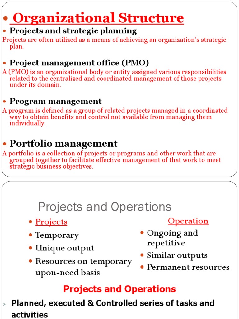Organizational Structure | PDF | Organizational Structure | Project Management
