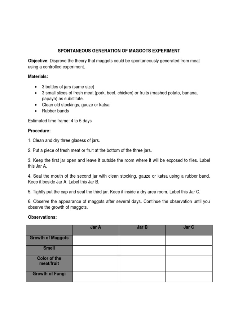Spontaneous Generation of Maggots Experiment Objective: Disprove The ...