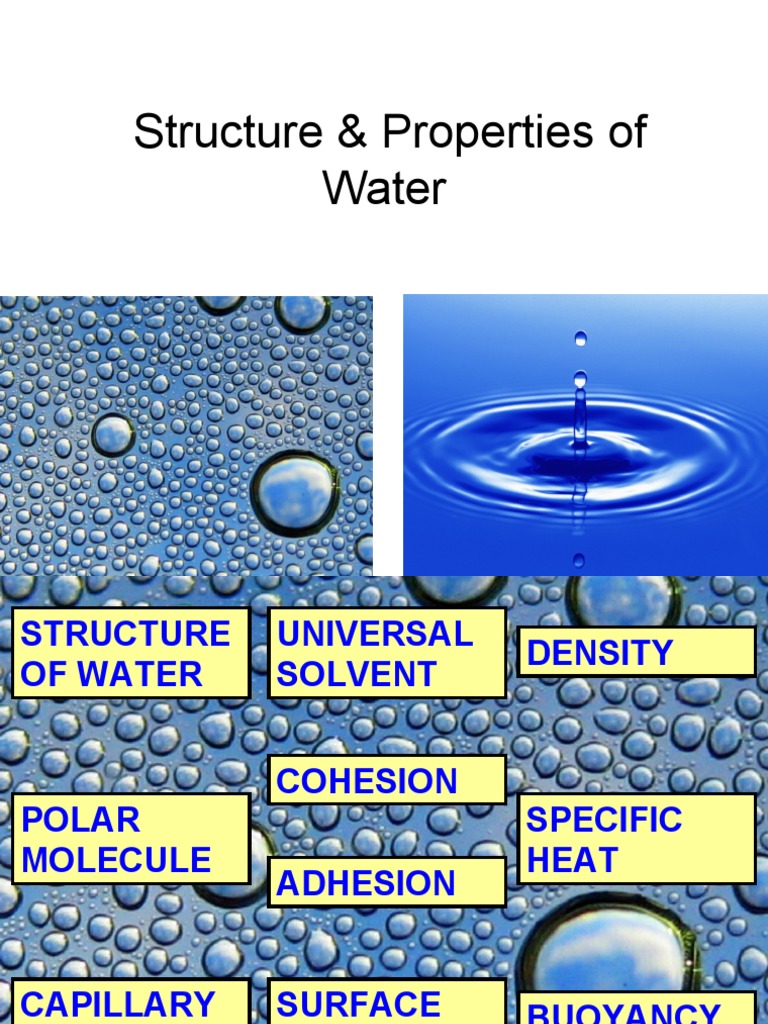 Chapter 4 Structure and Properties of Water 2017-2018 | Download Free ...