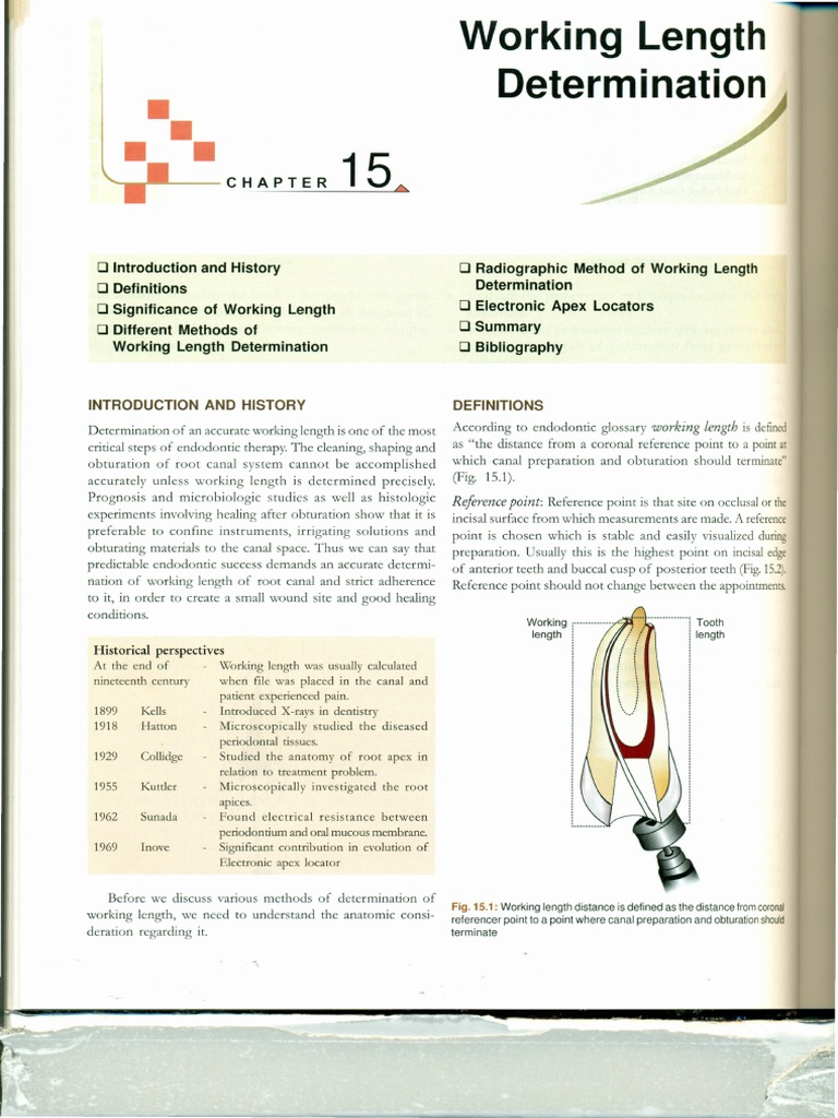 Working Length Determination | PDF | Mouth | Dentistry