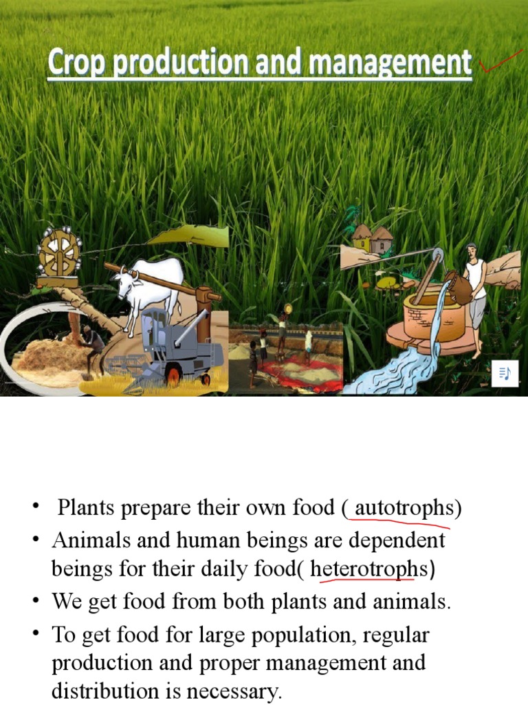 Crop Production and Management | PDF | Agriculture | Fertilizer
