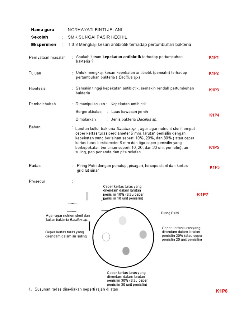 Skema Laporan Amali 1.3.3 Kesan Antibiotik | PDF