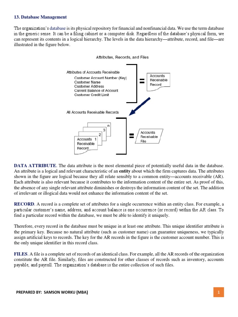 Database Management | PDF | Databases | Computer File