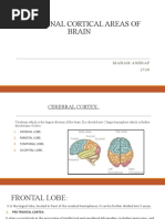 Brodmanns Area Table | PDF | Frontal Lobe | Cerebral Cortex