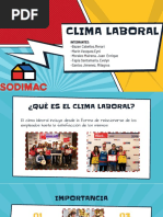 Morfología de Frutos: Silicua y Cipsela | PDF | Fruta | Morfología Vegetal
