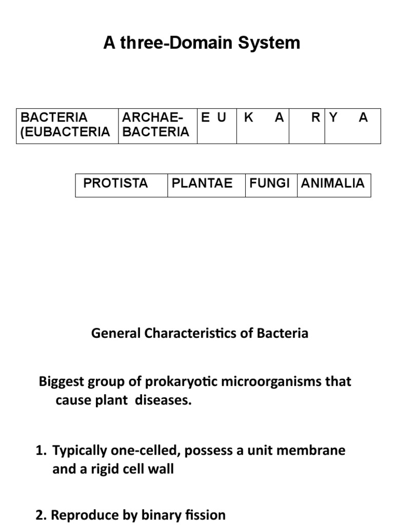 A Three-Domain System: Bacteria (Eubacteria Archae-Bacteria E U K A R Y A | PDF | Gram Positive ...