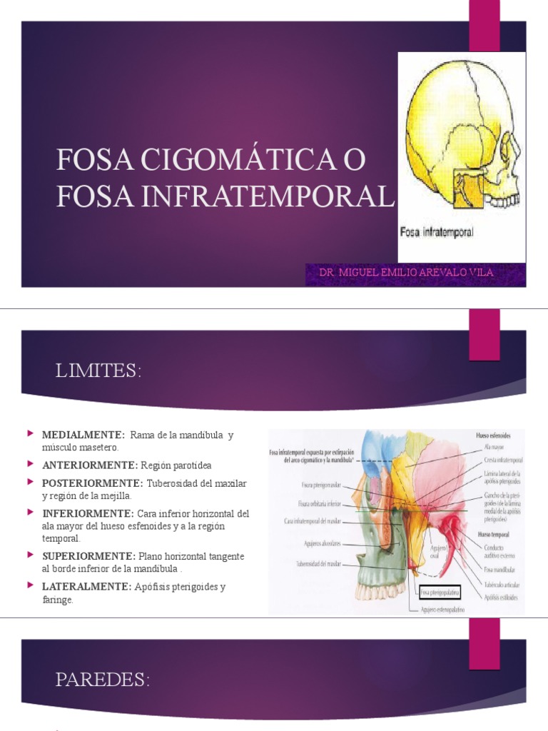 Fosa Cigomática y Pterigomaxilar | PDF | Sistema musculoesquelético | Cara