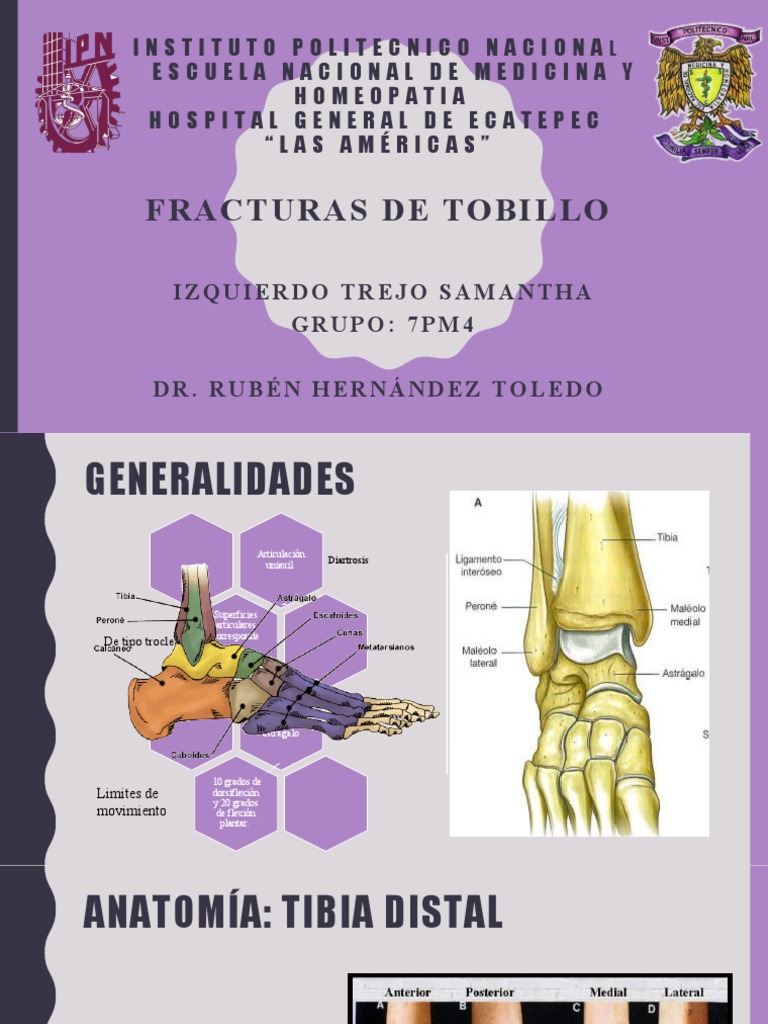 FX Tobillo | PDF | Tobillo | Sistema musculoesquelético