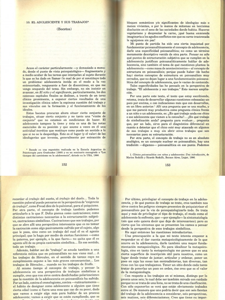 Rodulfo, R. El Adolescente y Sus Trabajos PDF | PDF