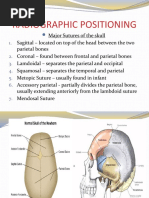 Facial Bones | PDF | Anatomical Terms Of Location | Human Nose