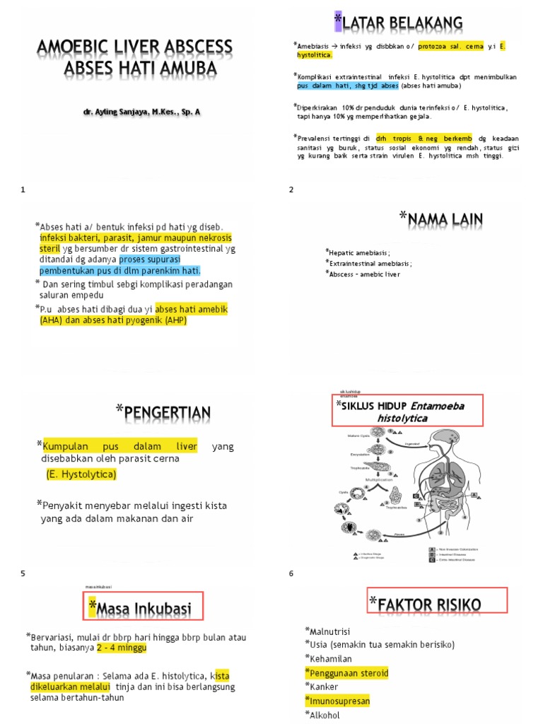 (AY) 2 ABSES LIVER AMOEBA, Fatty Liver, Atresia Bilier | PDF
