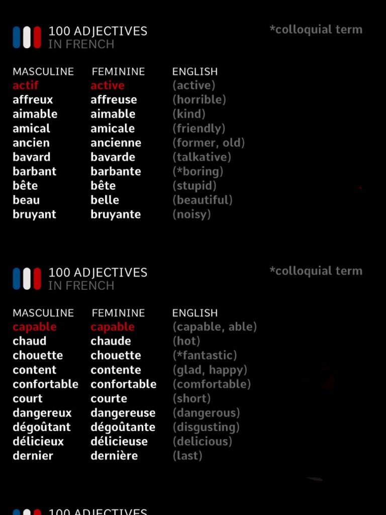 100 Adjective in French My Study Material, Reference | PDF