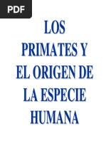 Dryopithecus | PDF | Hominidae | Homo Sapiens