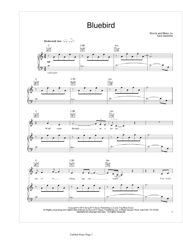 Unfiled Notes Compilation | PDF