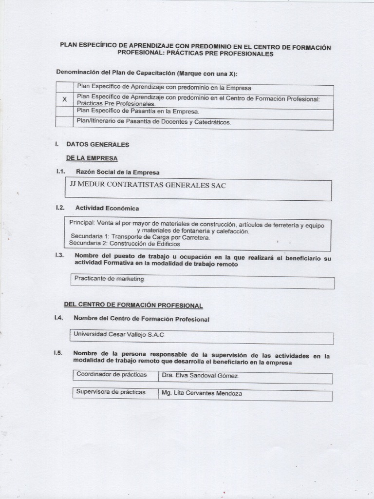 Plan Especifico de Aprendizaje | PDF