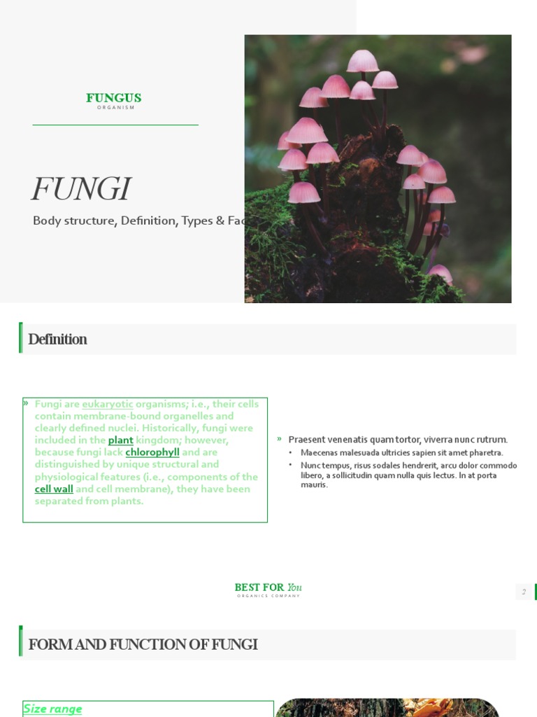 FUNGI | PDF | Fungus | Cell (Biology)