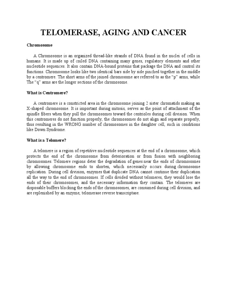 Telomerase, Aging and Cancer: Chromosome | PDF