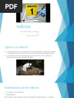 Clasificación de Los Indicios | PDF | Naturaleza | Science