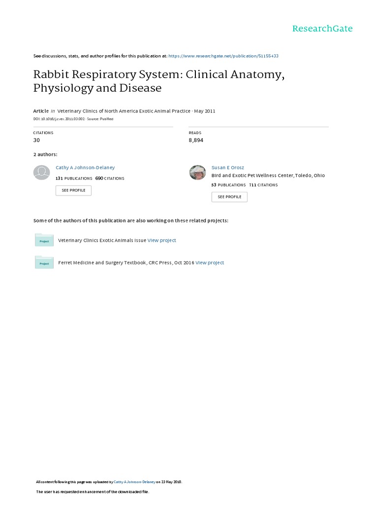 Rabbit Respiratory System: Clinical Anatomy, Physiology and Disease ...
