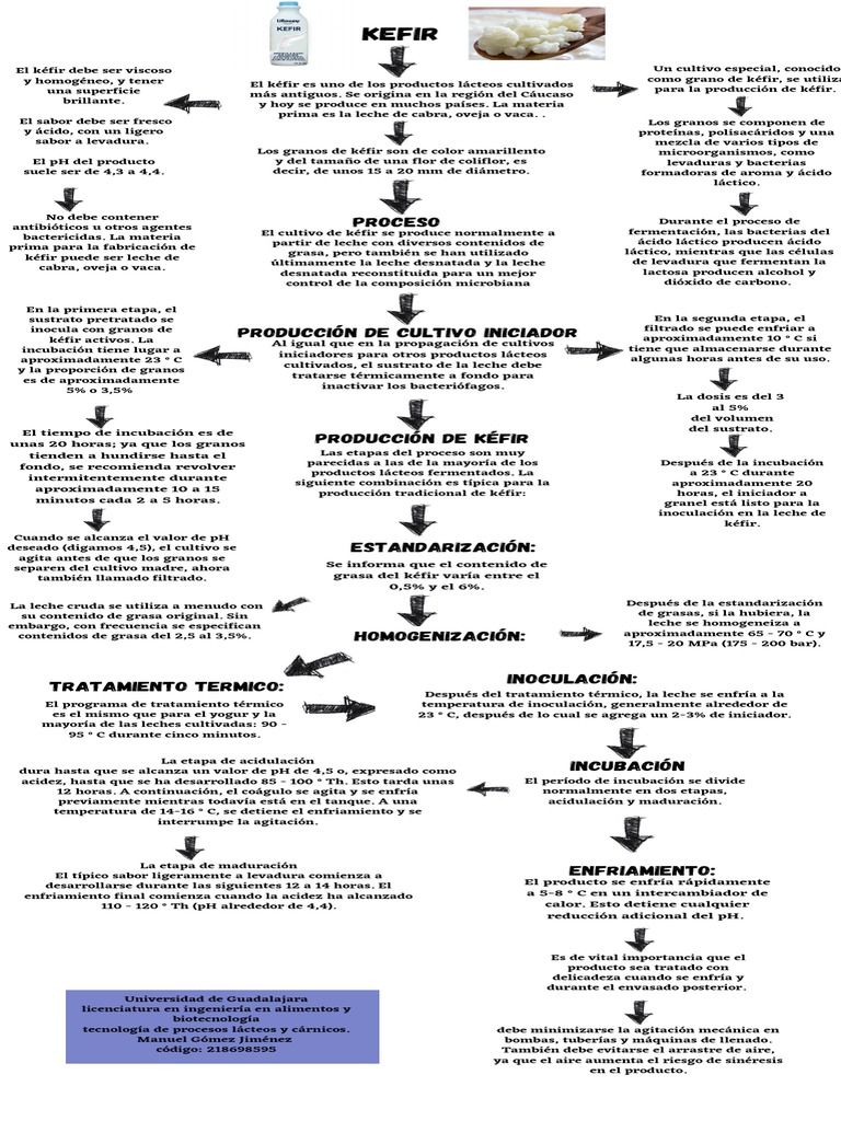Kefir Mapa Conceptual. Manuel Gómez Jimenez | PDF | Leche | Productos ...